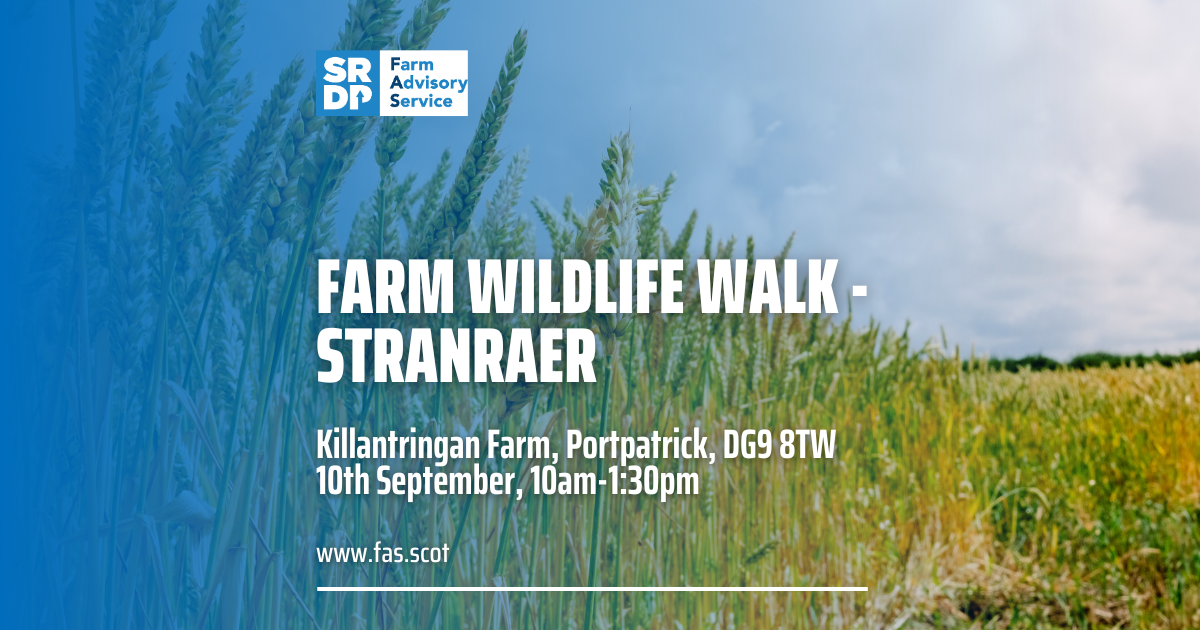 Farm Wildlife Walks - Stranraer | Events helping farmers in Scotland ...