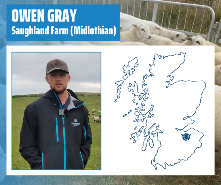 Monitoring Flock Performance Vlog Series | Helping farmers in Scotland