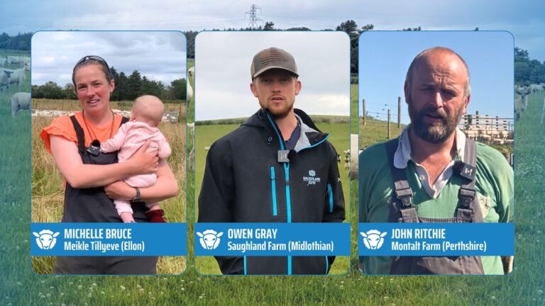 Monitoring Flock Performance Vlog Series | Helping farmers in Scotland