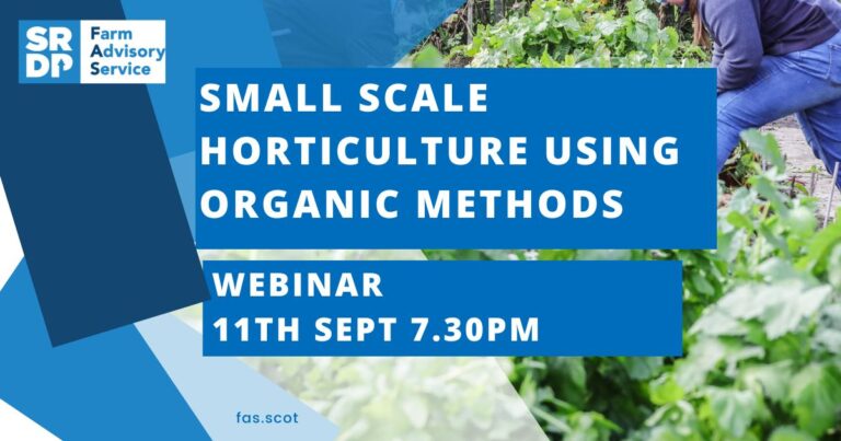 Small Scale Horticulture Using Organic Methods | Events helping farmers ...