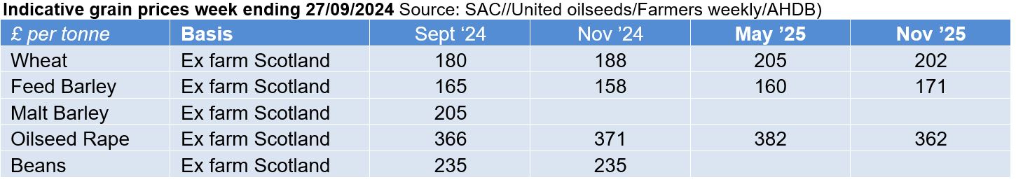 Agribusiness News October 2024 - Cereals & Oilseeds | Helping farmers ...