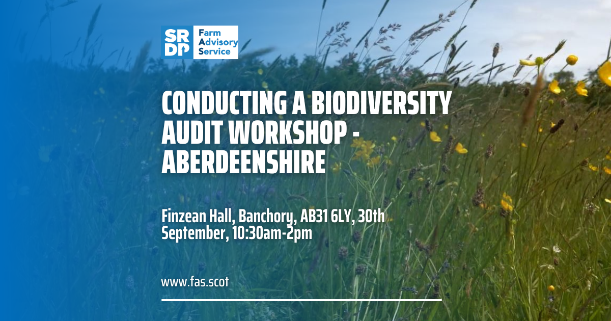 Conducting a Biodiversity Audit Workshop - Aberdeenshire | Events ...