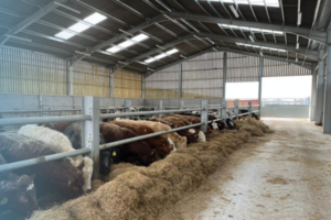 Agribusiness News October 2024 - Inputs: Forage & Feed Budgeting ...