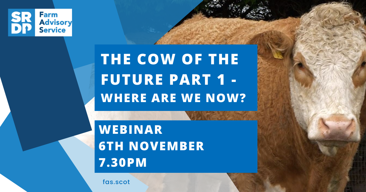 The Cow of The Future Part 1 - Where Are We Now? | Events helping ...