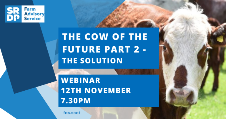 The Cow of The Future Part 2 - The Solution | Events helping farmers in ...