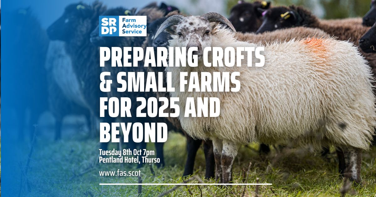 Preparing crofts & small farms for 2025 and beyond - Thurso | Events ...