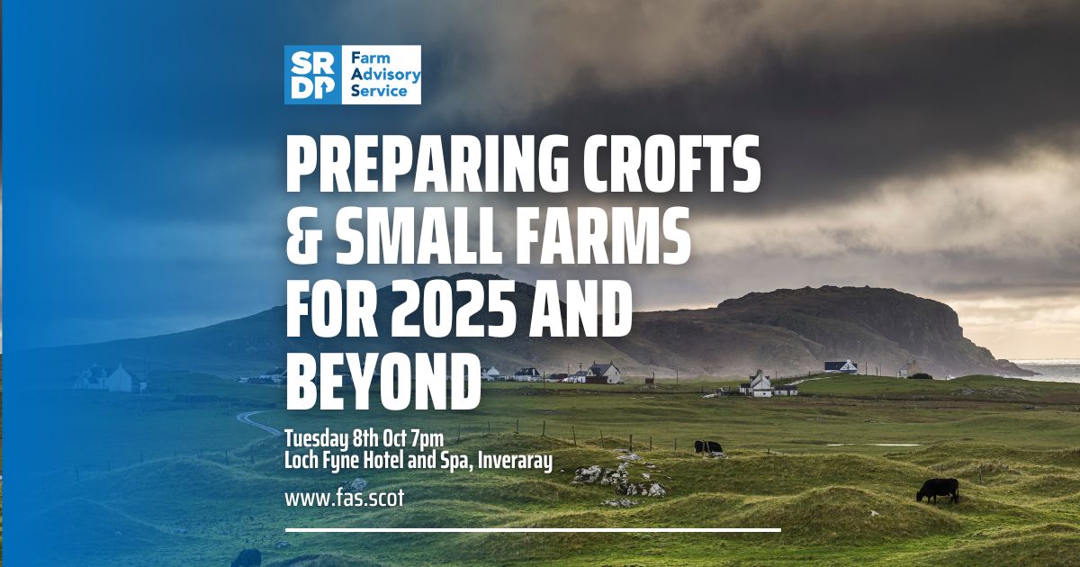 Preparing crofts & small farms for 2025 and beyond - Argyll | Events helping farmers in Scotland ...