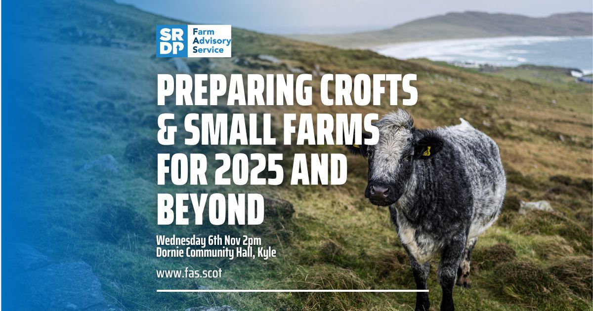Preparing crofts & small farms for 2025 and beyond - Kyle | Events helping farmers in Scotland ...