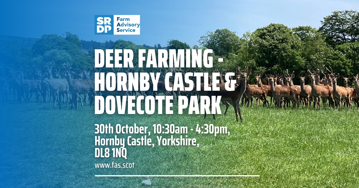 Deer Farming - Hornby Castle & Dovecote Park | Events helping farmers ...