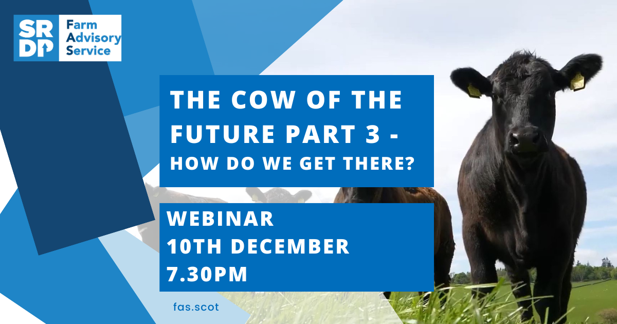 The Cow of The Future Part 3 - How Do We Get There? | Events helping ...