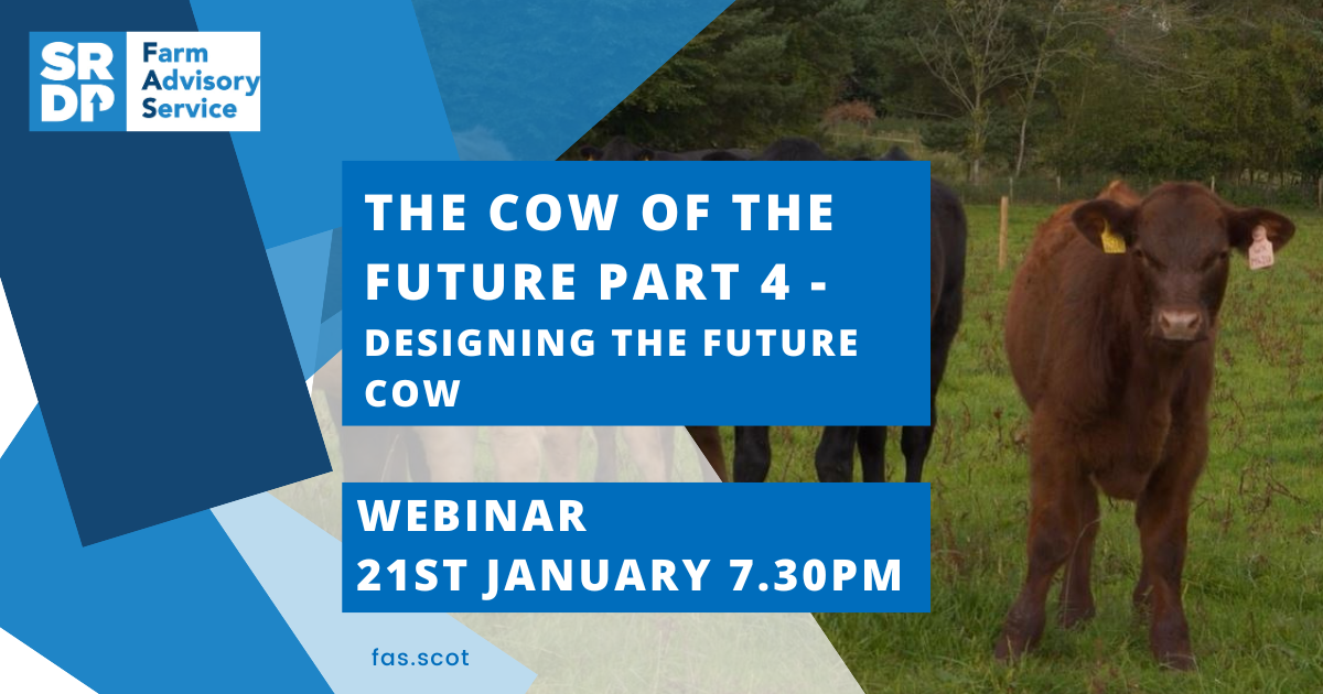 The Cow of The Future Part 4 - Designing the Future Cow | Events ...