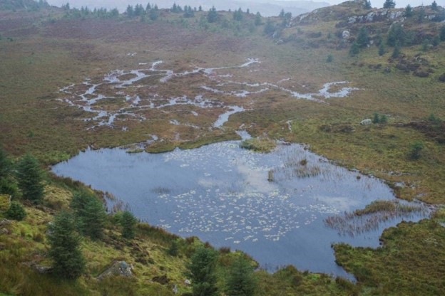 Land Management of Blanket Bogs | Helping farmers in Scotland