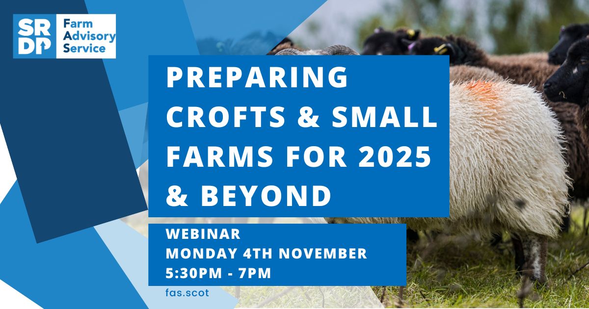 Preparing Crofts & Small Farms for 2025 & Beyond | Events helping ...
