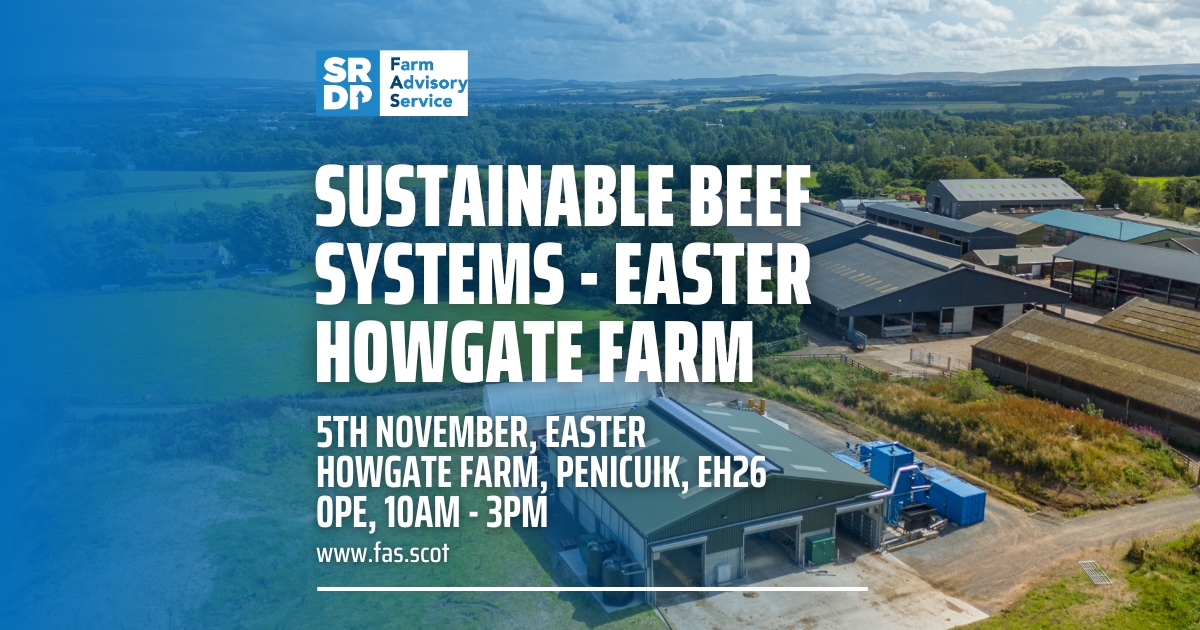 Sustainable Beef Systems - Easter Howgate Farm | Events helping farmers ...