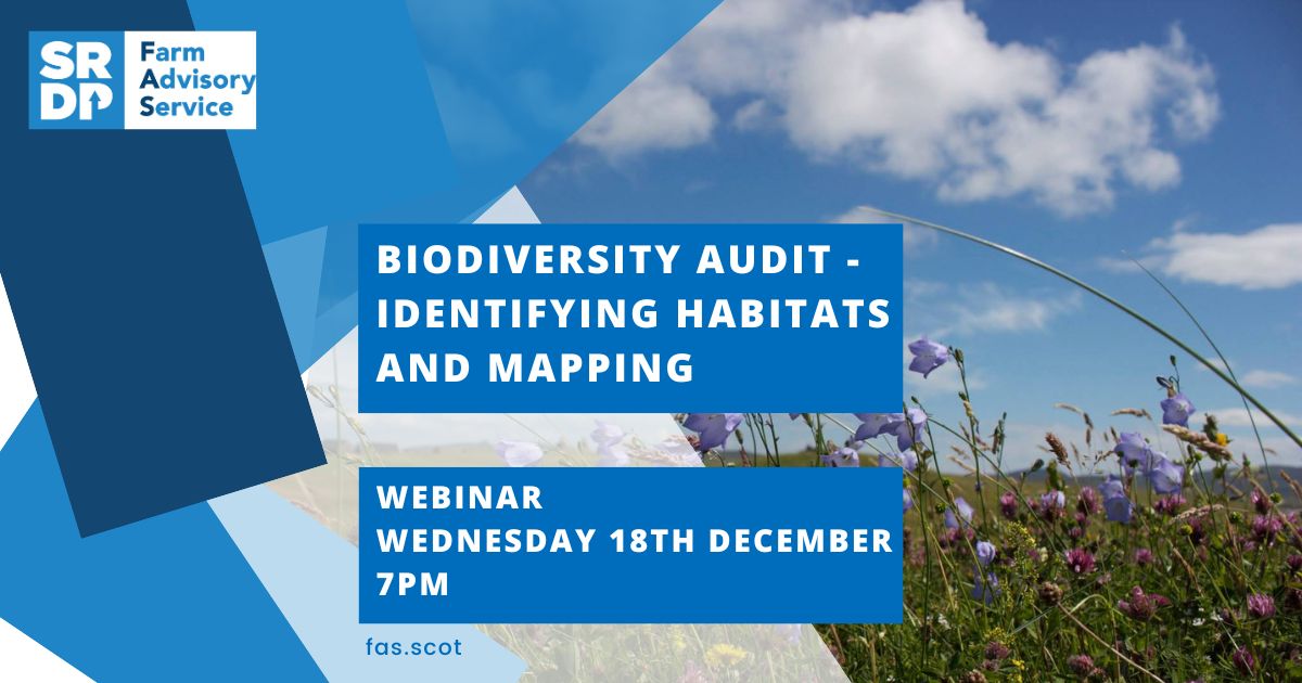 Biodiversity Audit - Identifying Habitats and Mapping | Events helping ...
