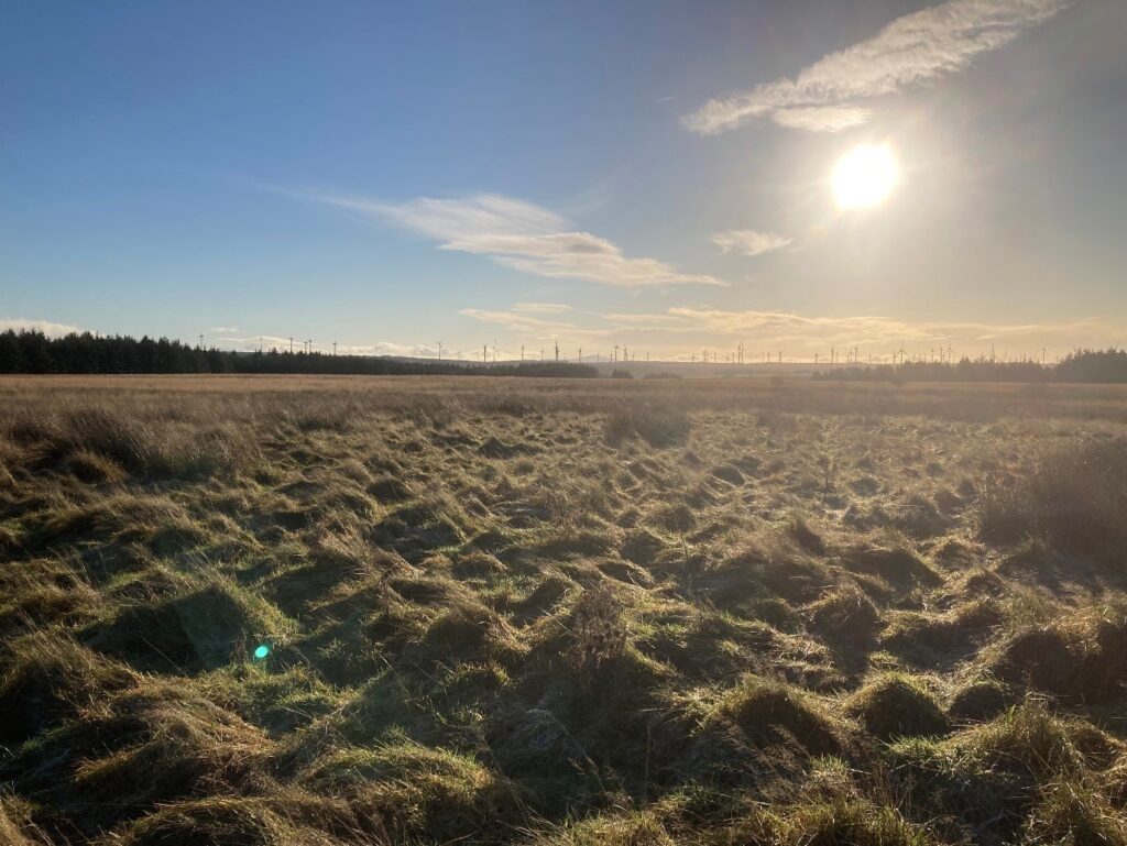 Farm Peatland Restoration At Leadloch Farm, A Case Study and Guide ...