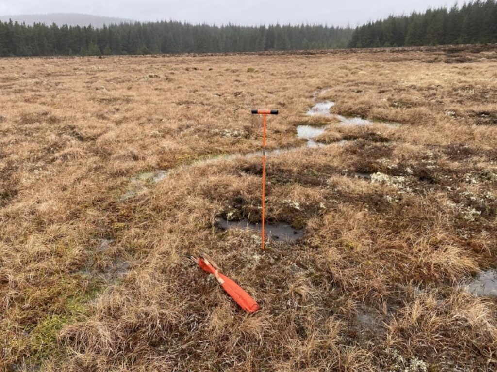 Peatland Restoration - Your Most Pressing Questions Answered | Helping ...