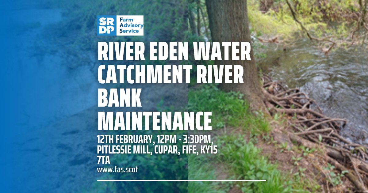 River Eden Water Catchment River Bank Maintenance | Events helping ...