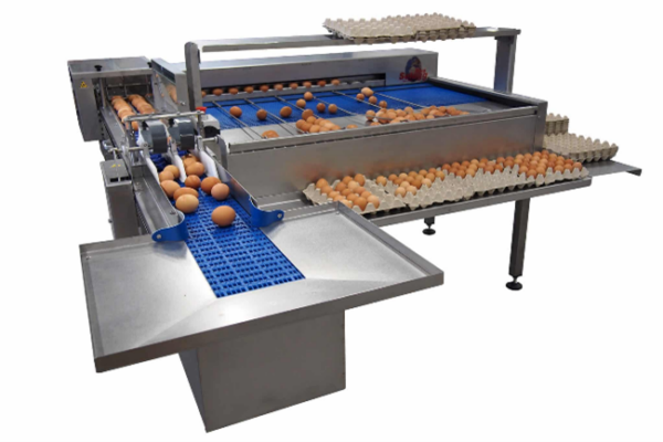 A Beginner's Guide to Egg Grading and Handling | Helping farmers in ...