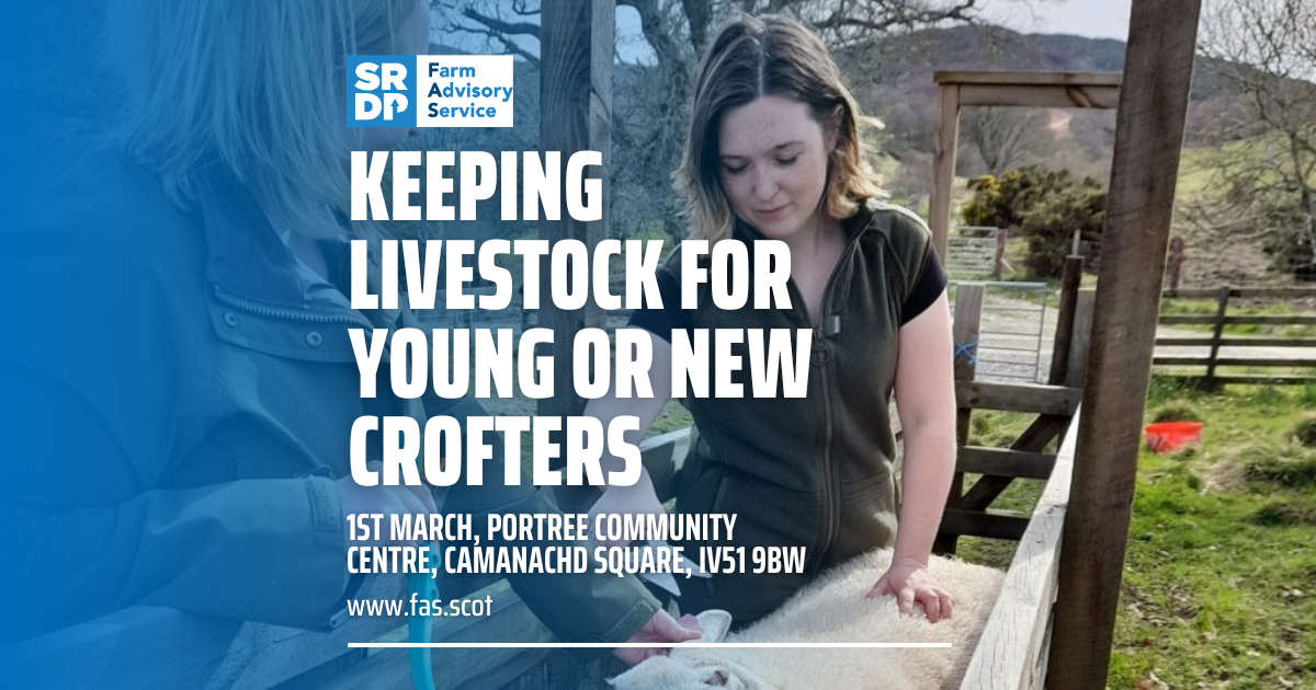 Keeping Livestock for Young or New Crofters | Events helping farmers in ...