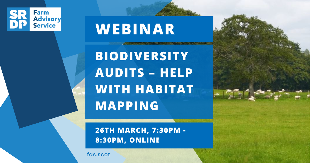 Biodiversity Audits – Help with Habitat Mapping | Events helping ...