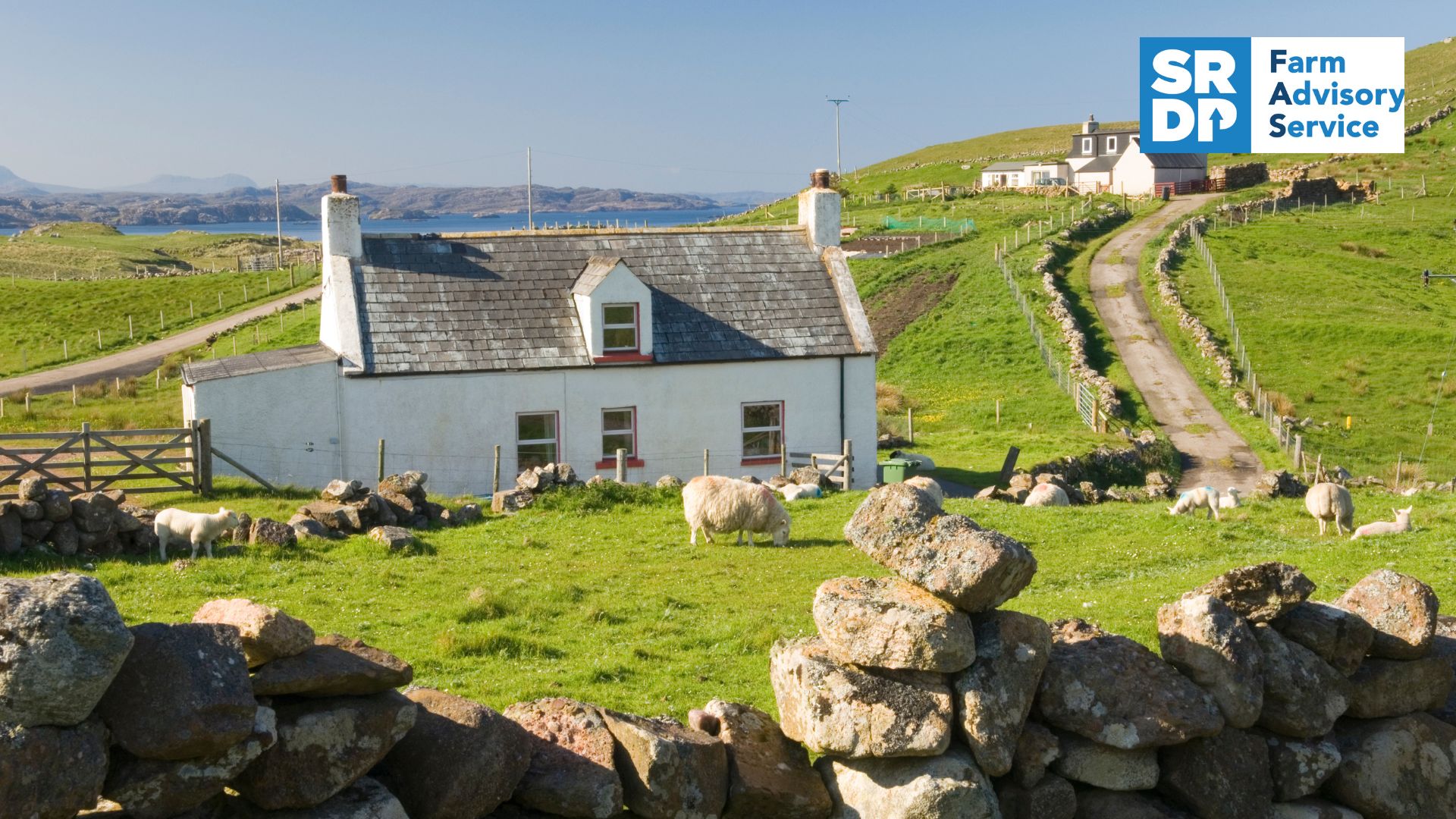Funding to keep your croft thriving | Helping farmers in Scotland