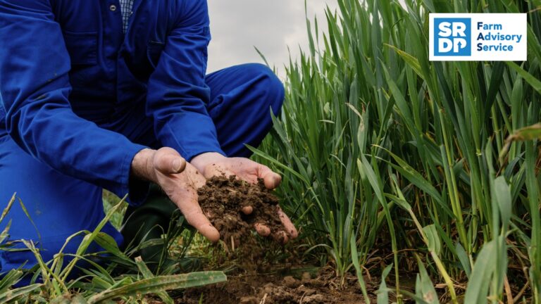 Get funding to achieve high nutrient use efficiency | Helping farmers ...