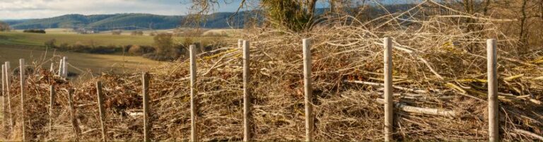 The Benefits of Dead Hedges and How to Build Them | Helping farmers in ...
