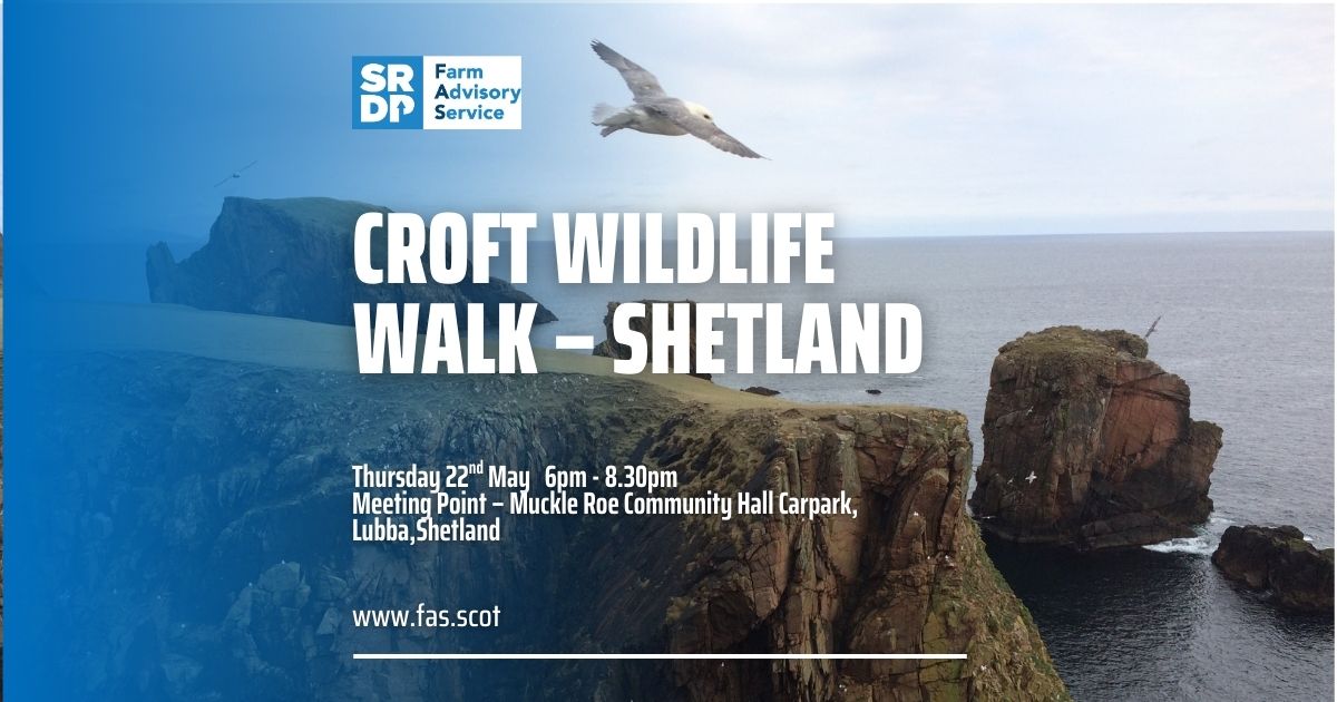 Croft Wildlife Walk – Shetland | Events helping farmers in Scotland ...
