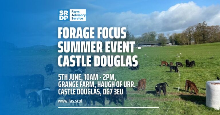 Forage Focus Summer Event – Castle Douglas | Events helping farmers in ...
