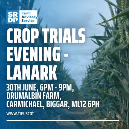 Events | Events helping farmers in Scotland | Farm Advisory Service