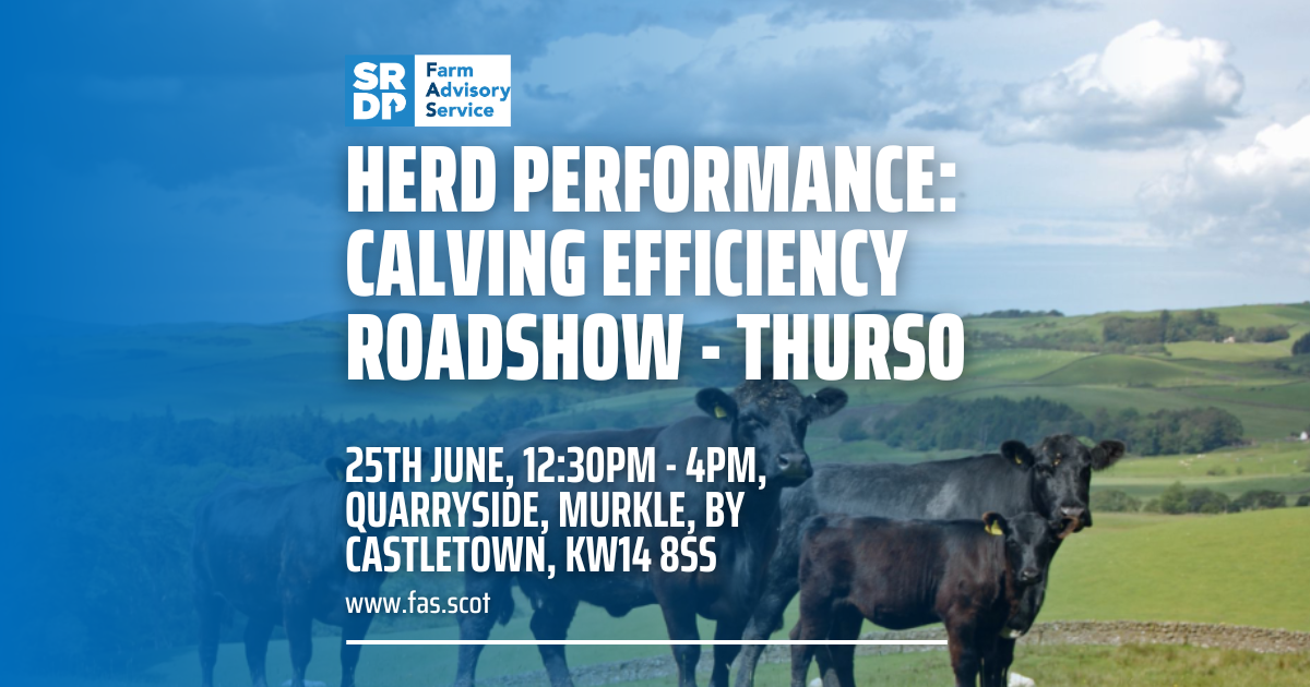 Herd Performance: Calving Efficiency Roadshow - Thurso | Events helping farmers in Scotland ...