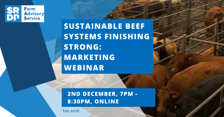 Sustainable Beef Systems Finishing Strong: Marketing Webinar | Events ...