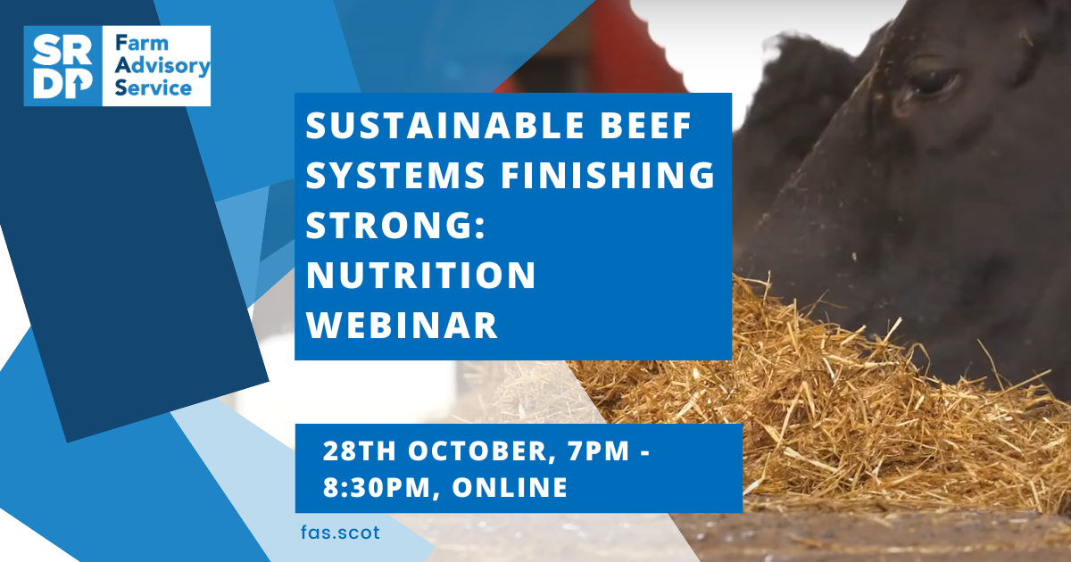 Sustainable Beef Systems Finishing Strong: Nutrition Webinar | Events ...