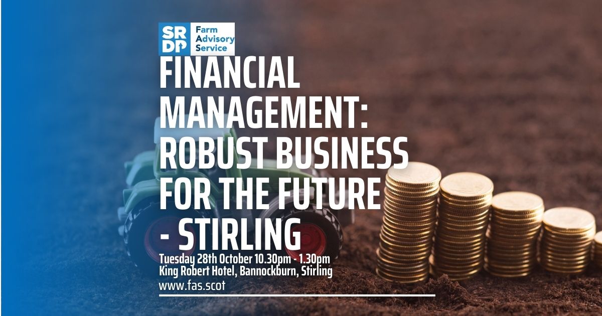 Financial Management: Robust Business for the Future - Stirling ...