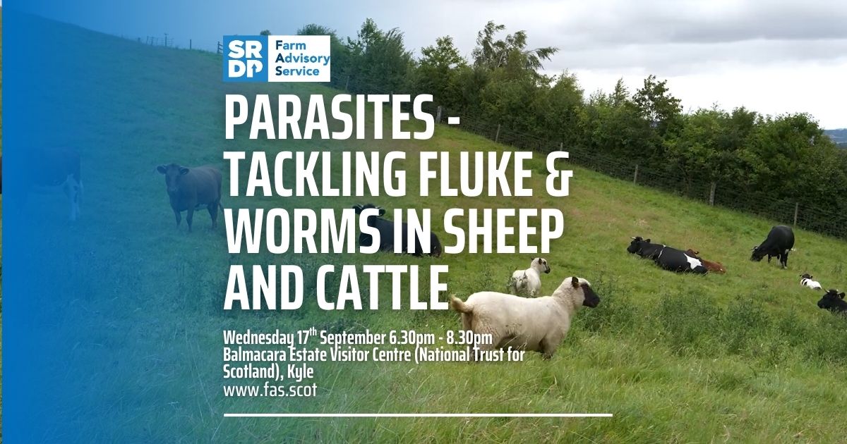 Parasites -Tackling Fluke & Worms in Sheep and Cattle | Events helping ...