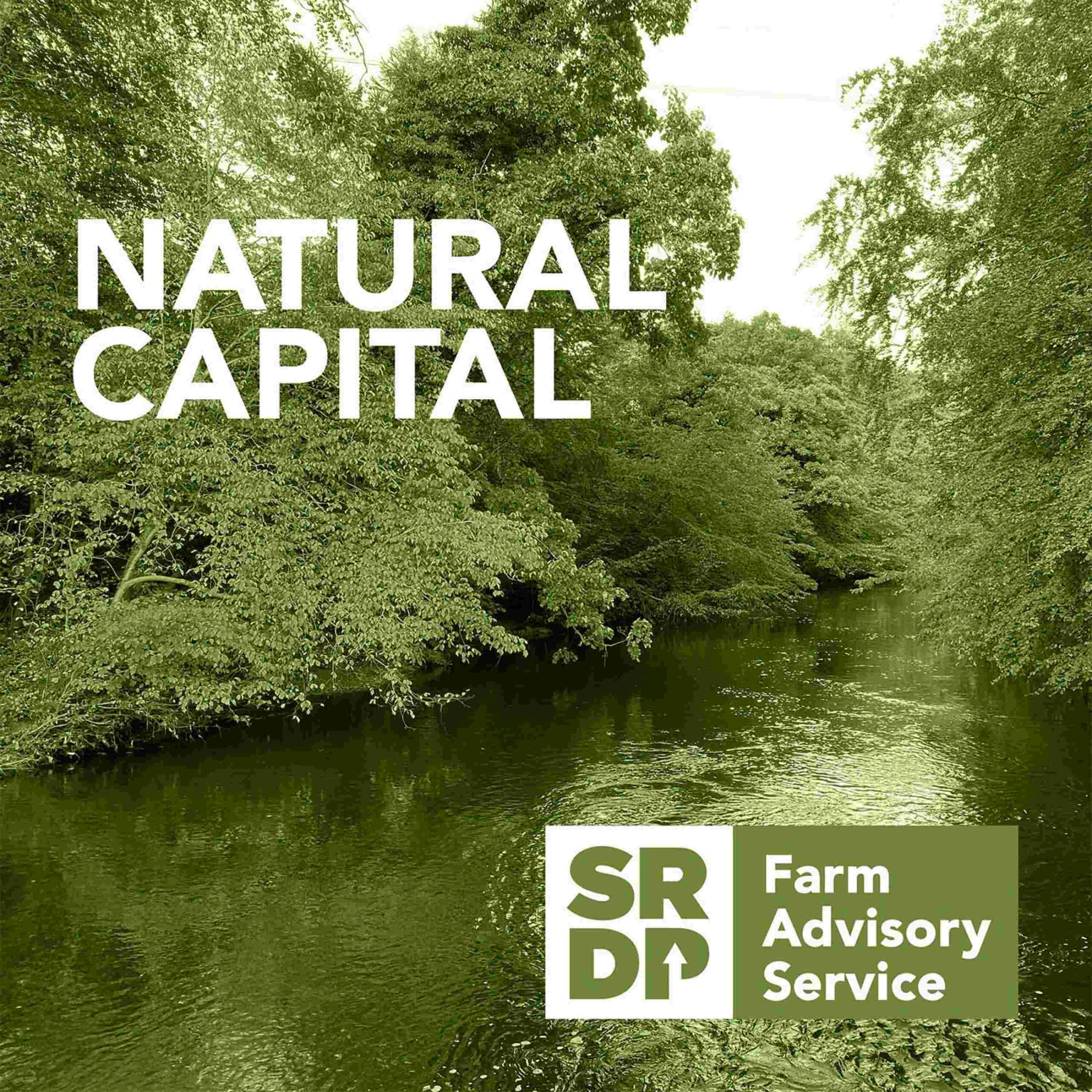 Natural Capital - The History of Scotland’s Natural Capital | FAS