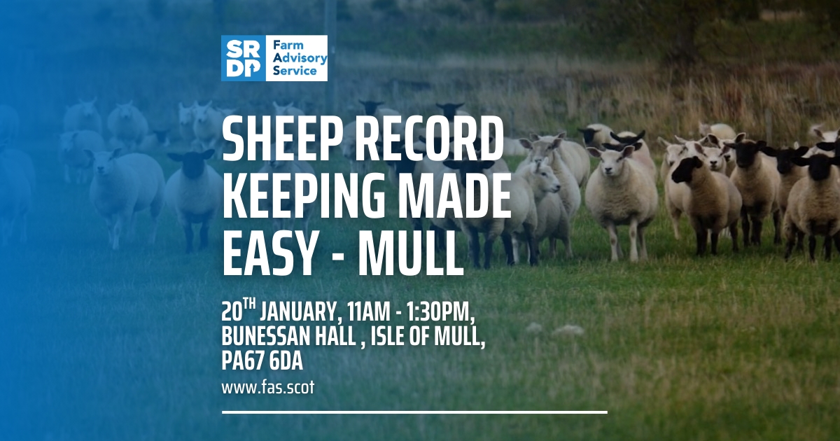 Sheep Record Keeping Made Easy - Mull | Events helping farmers in ...