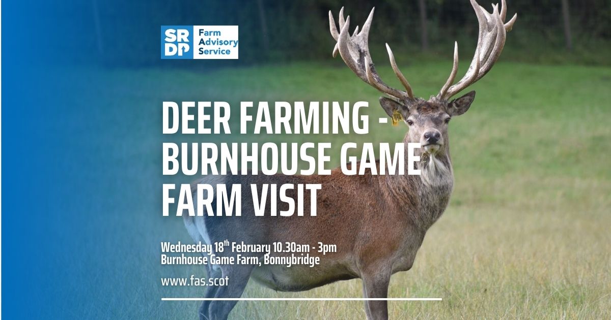Deer Farming - Burnhouse Game Farm Visit | Events helping farmers in ...
