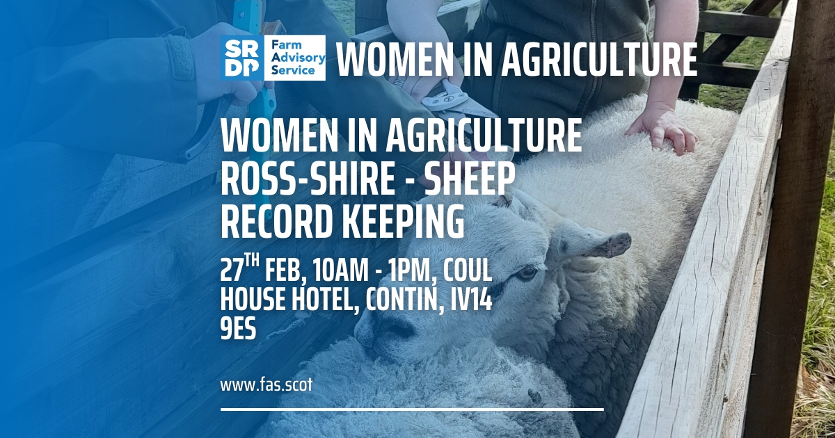 Ross-shire WIA - Sheep Record Keeping | Events helping farmers in ...